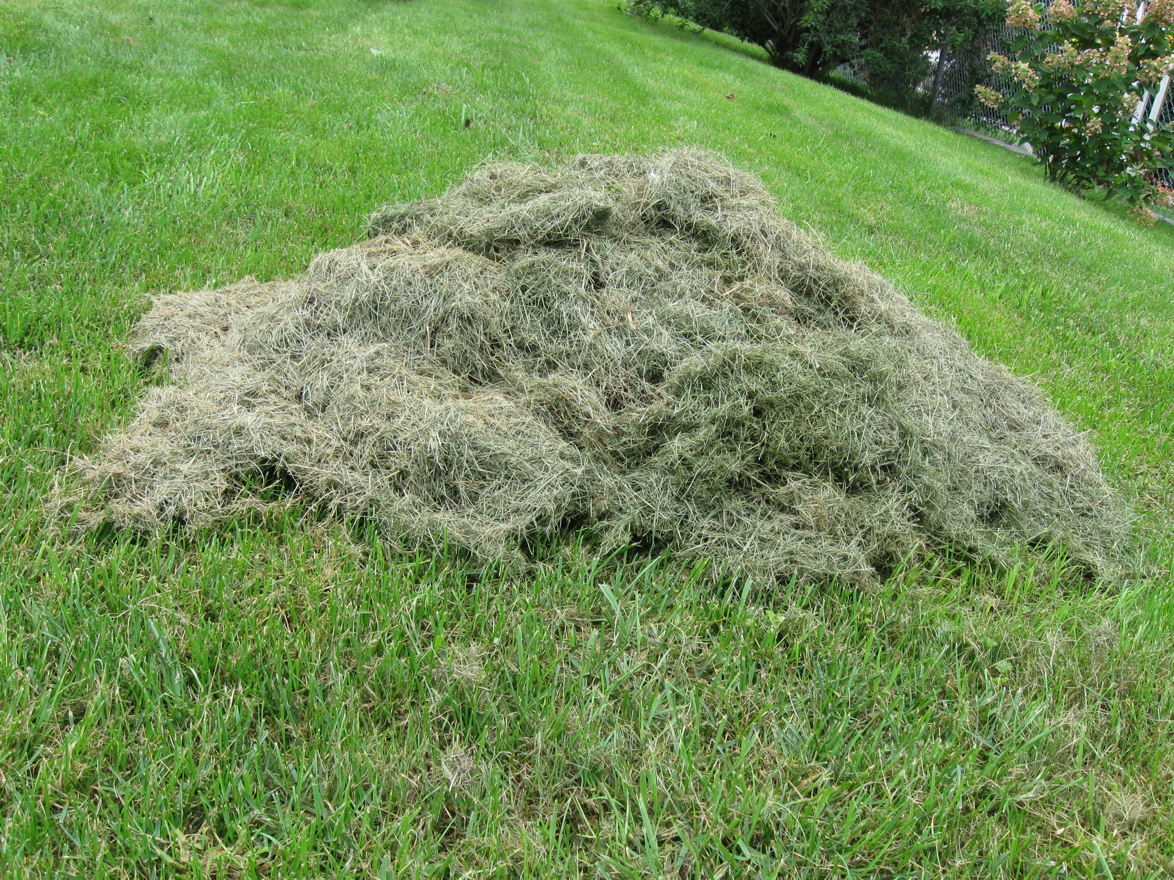 Yard Waste – Des Plaines Material & Supply